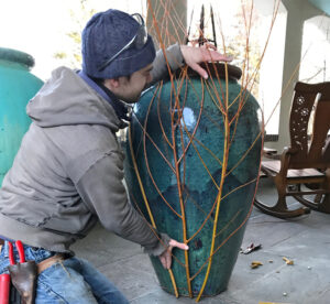 Chanticleer, a Pleasure Garden, Prepares for Spring - Visit Delco PA