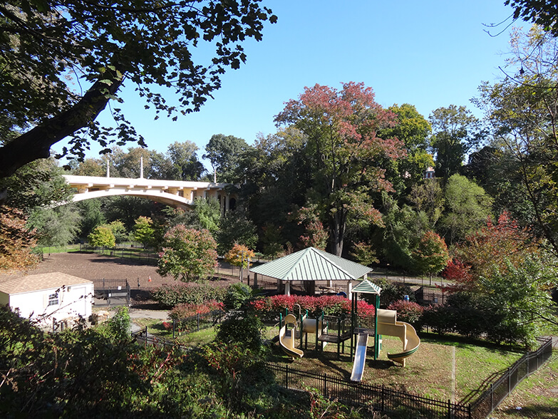 Kent Dog Park | Outdoor Fun for Dogs in Delco