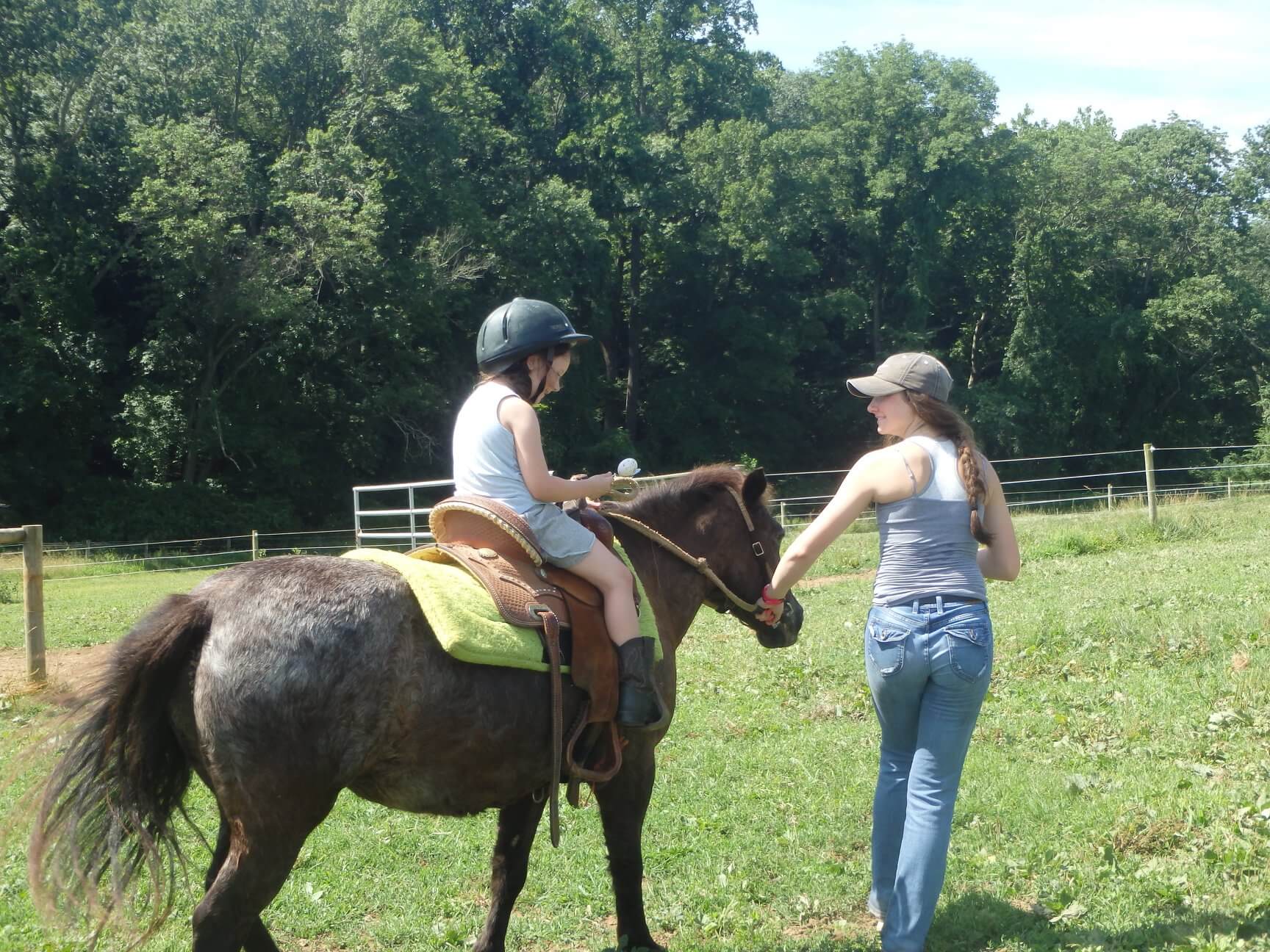 Cloverleaf Stables - Visit Delco, PA