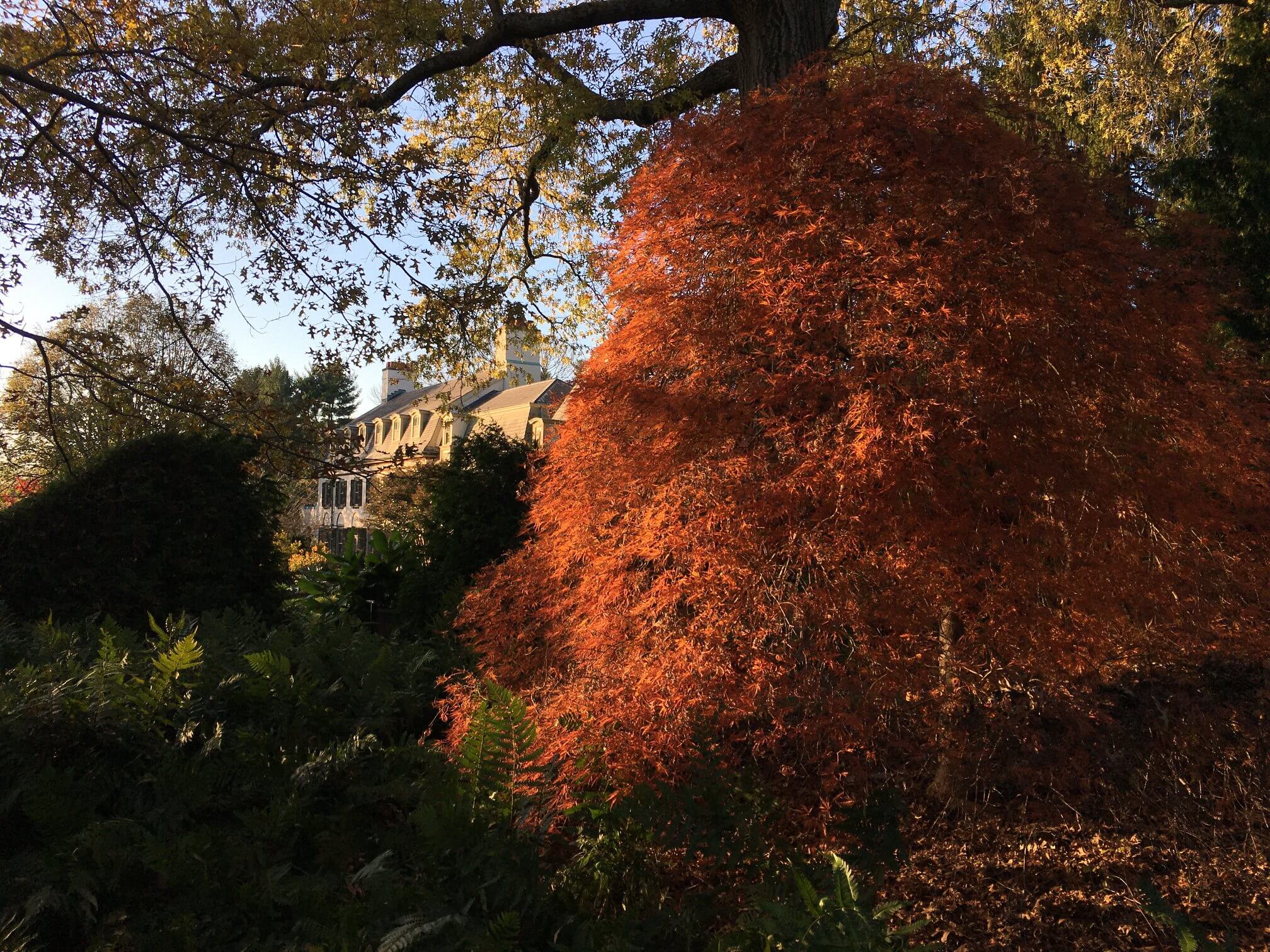 Delco's Most Scenic Spots for Fall Foliage - Visit Delco, PA