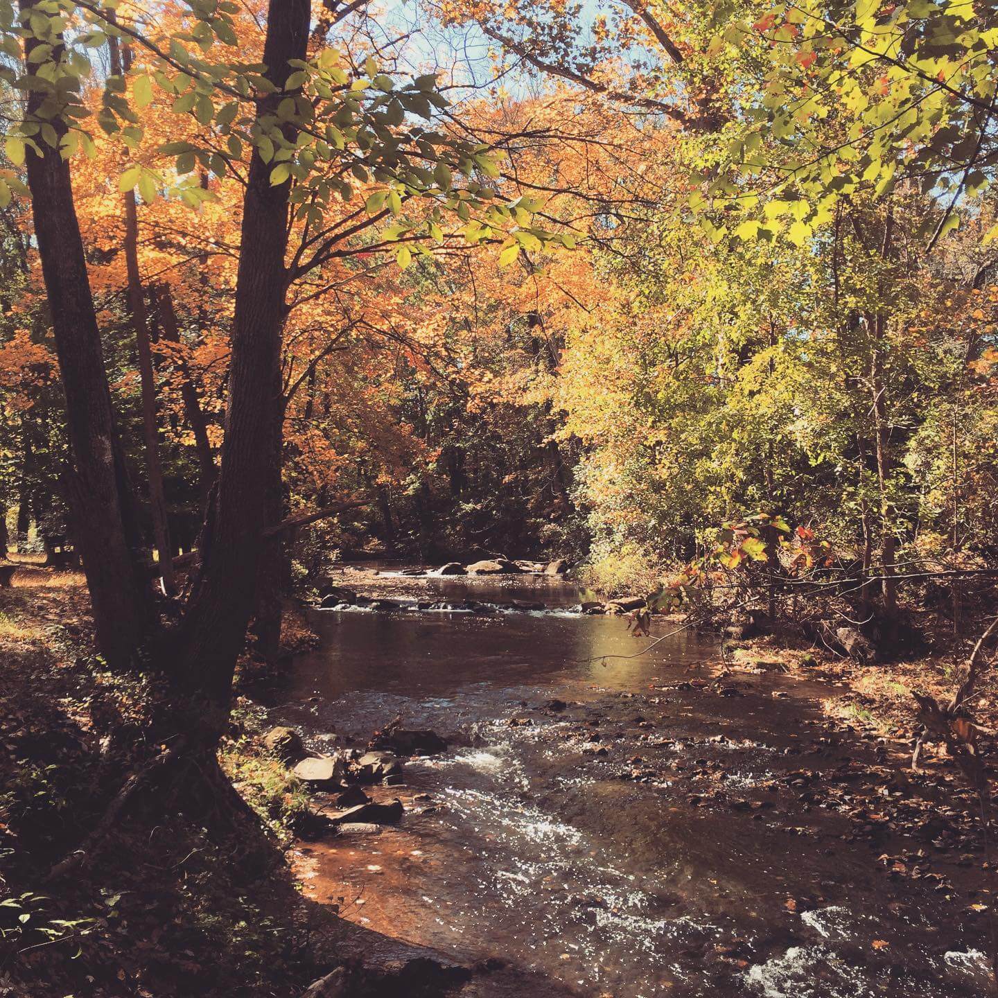 Delco's Most Scenic Spots for Fall Foliage - Visit Delco, PA