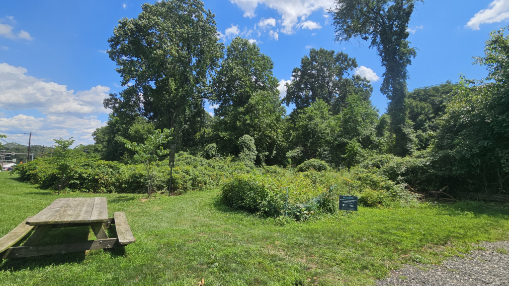 Delco Woods - Visit Delco, PA