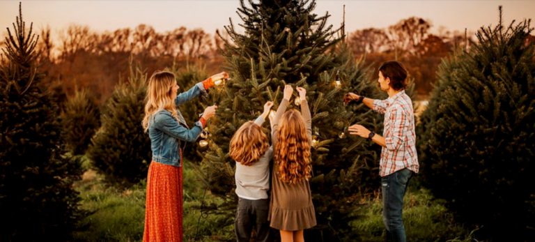 Linvilla Orchards: Christmas Around The Farm (Winter Wonderland ...