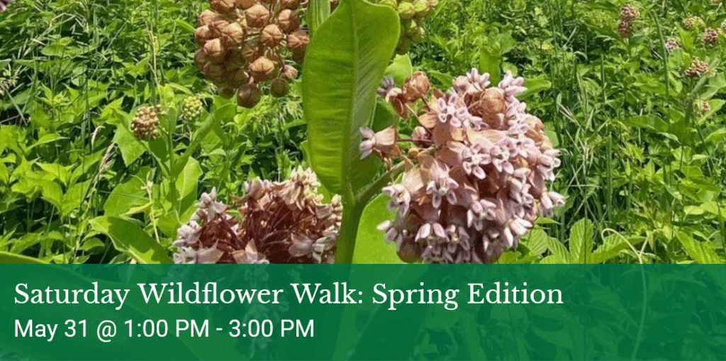 Tyler Arboretum: Saturday Wildflower Walk - Visit Delco PA